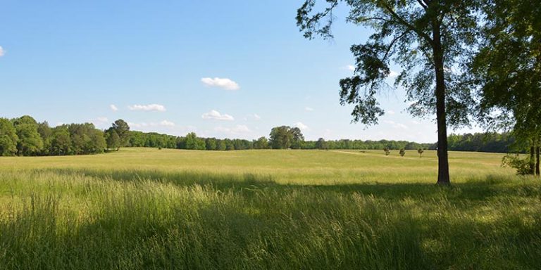 Equestrian – Southern 8ths